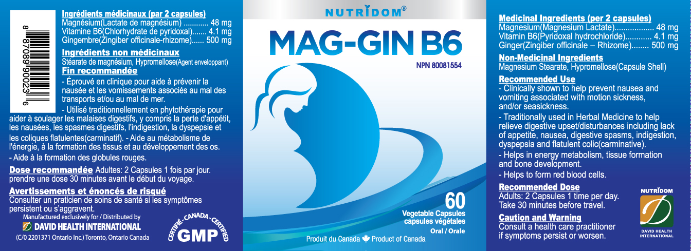 Mag gin B6